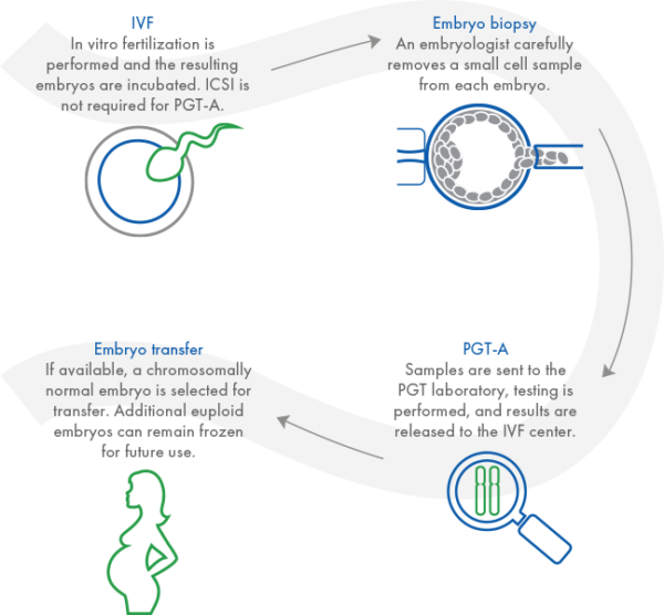 Pgt A Embryo Chromosomal Abnormalities Test Coopersurgical